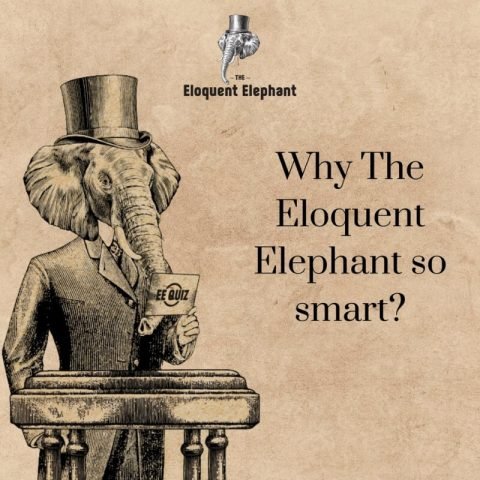 The Eloquent Elephant - Taj Dubai